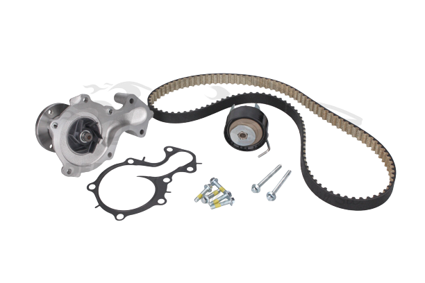 Ford vezérlés szett